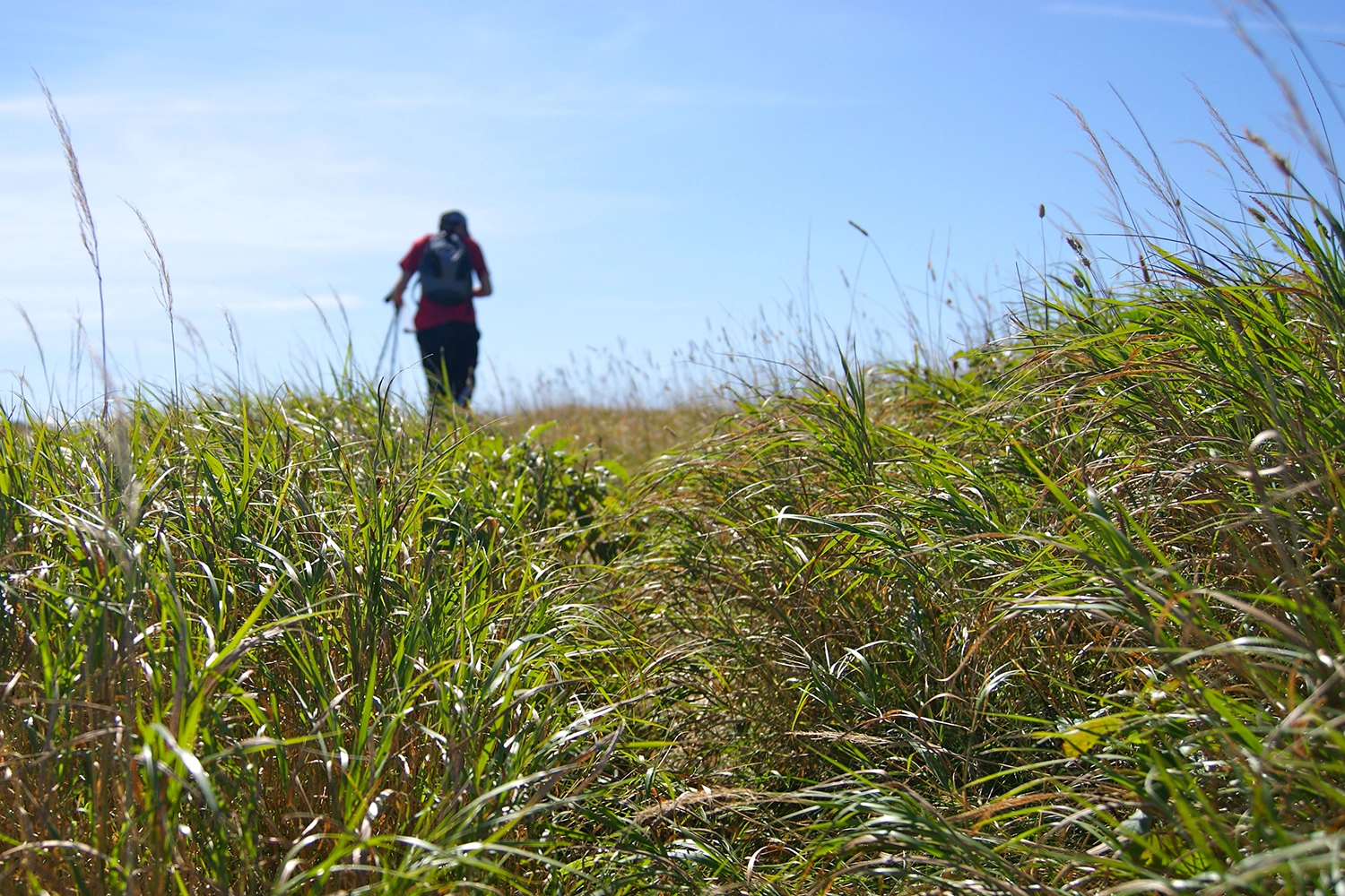 Explore Cape Breton Hidden Gems with Moosebait