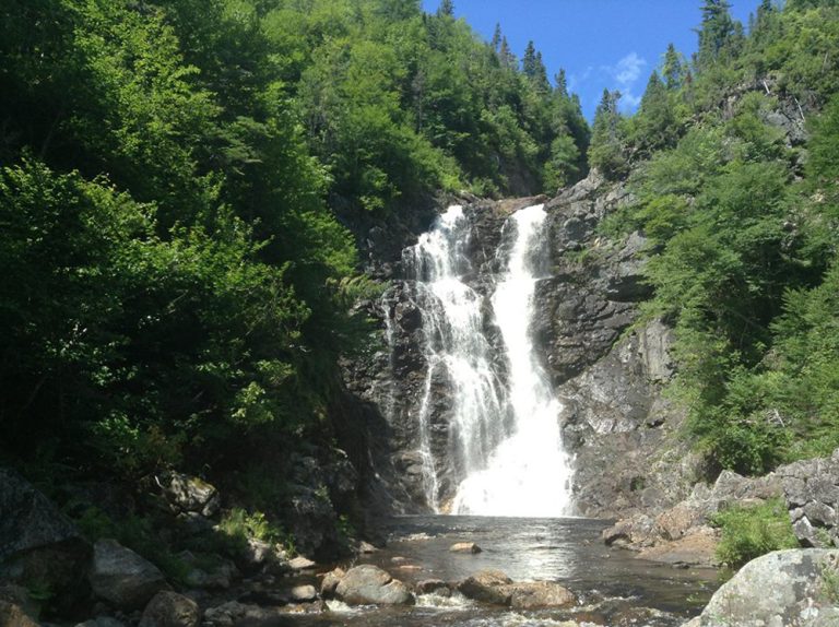 Explore Cape Breton Hidden Gems with Moosebait
