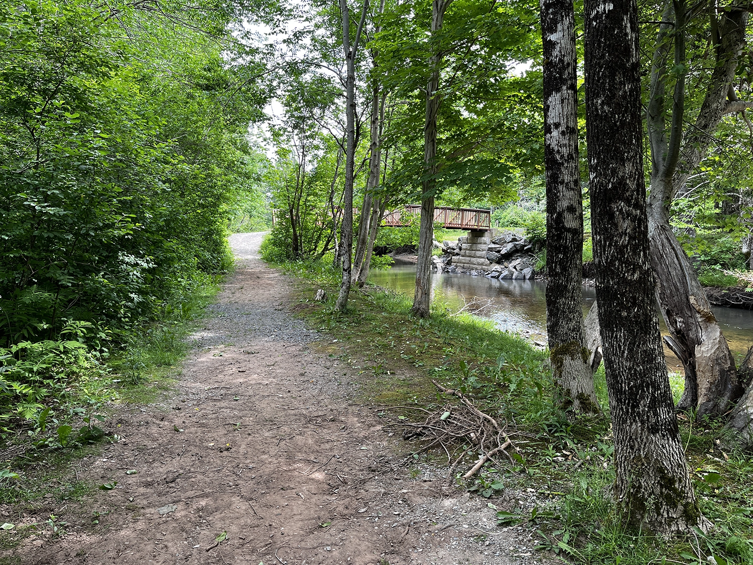 Skye River Trail - Moosebait Adventure Tours
