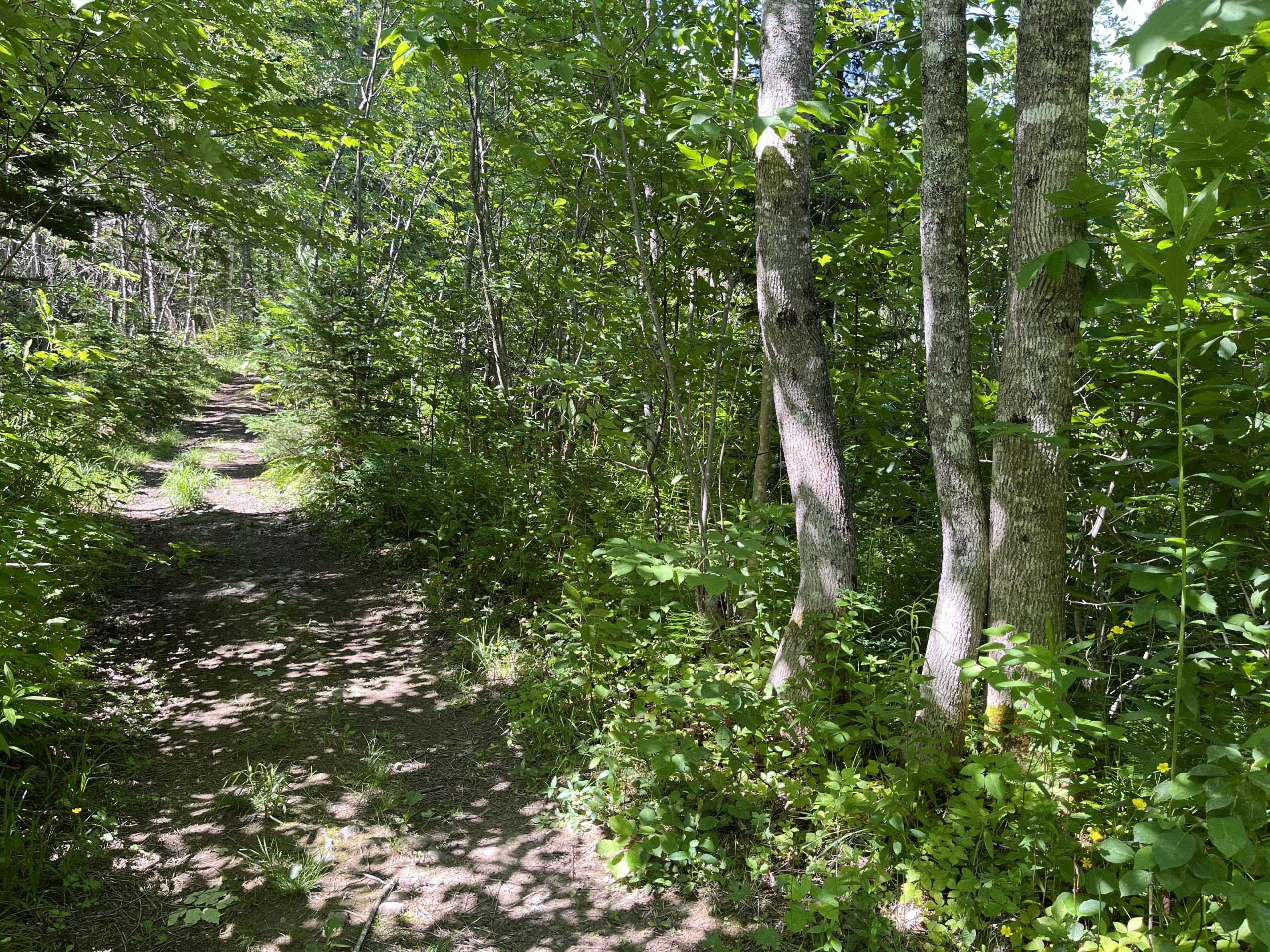 Barrachois Mountain Gorge - Moosebait Adventure Tours